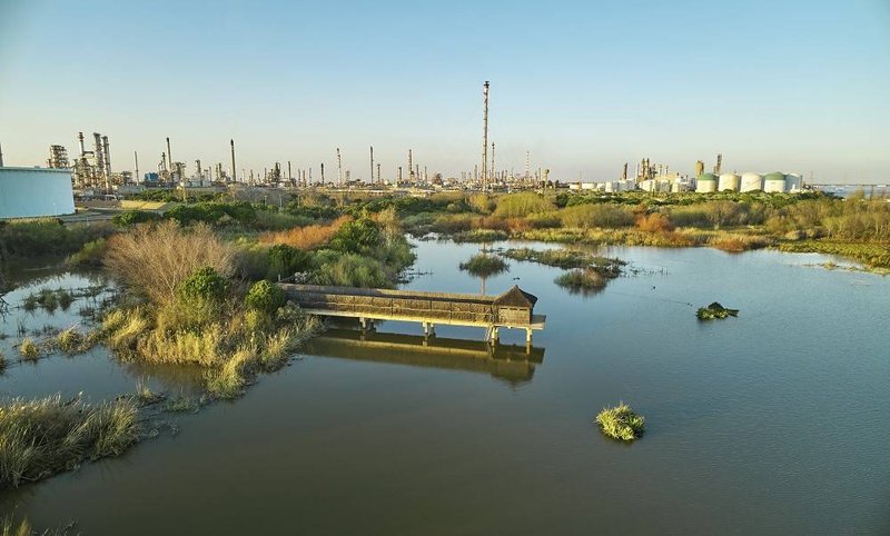 Topsoe to supply technology for one of the largest renewable fuels ...